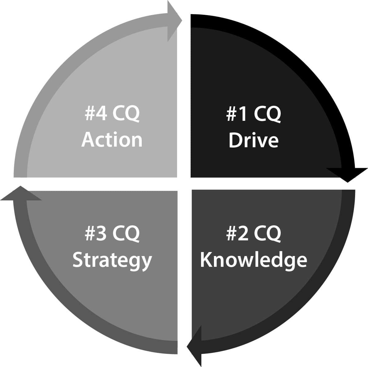 What is Cultural Intelligence? | Intercultural Tailored Solutions ...