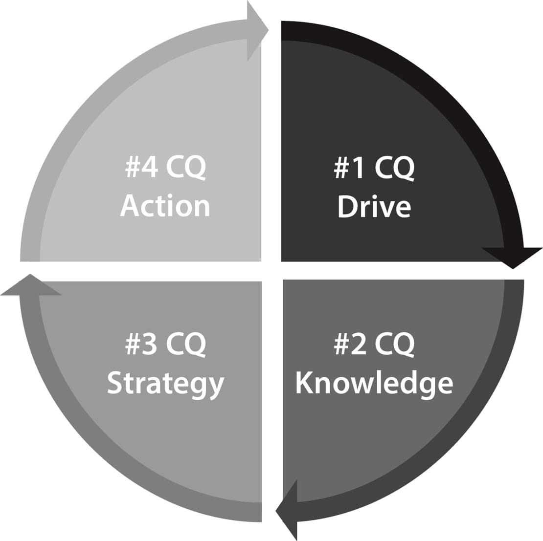 What is Cultural Intelligence? | Intercultural Tailored Solutions ...